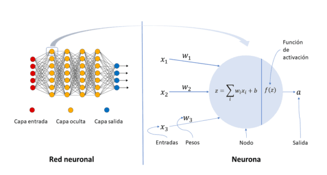 La Red Neuronal Totalmente Conectada: Un Enfoque Innovador en el ...